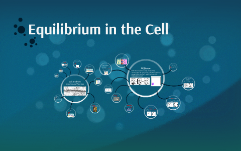 Equilibrium in the Cell by Andrea Stephens on Prezi