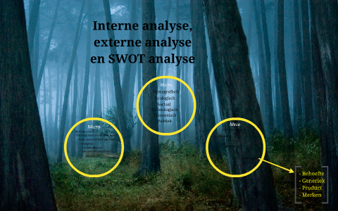 Interne, externe en SWOT analyse by katje m on Prezi