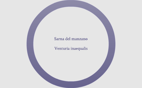 Sarna de manzano by Elsa Brücher on Prezi