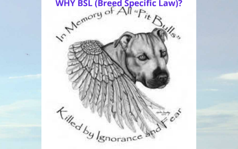 BSL Laws? Are They Really Necessary? by Kelsey Donnelly on Prezi