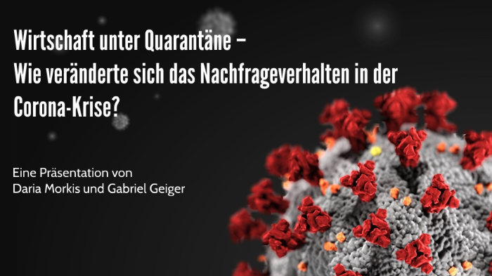Auswirkungen der Corona Pandemie auf das Nachfrageverhalten by Daria ...