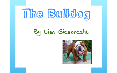 Bulldogs by Lisa Giesbrecht on Prezi