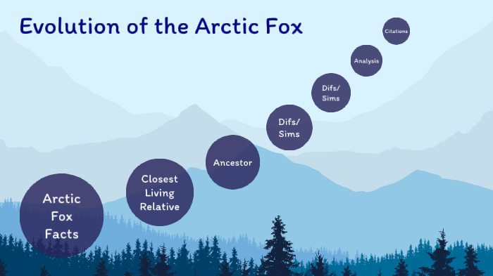 Evolution of the Arctic Fox by Katie Christensen on Prezi