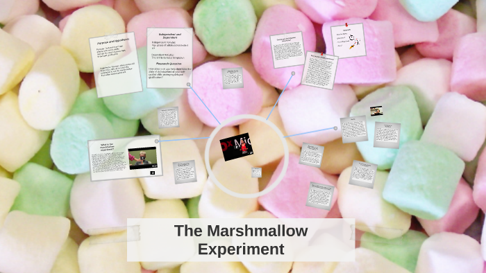 The Marshmallow Experiment by Lauryn MacCallum on Prezi