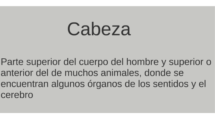 Parte superior del cuerpo del hombre y superior o anterior d by Mafer ...