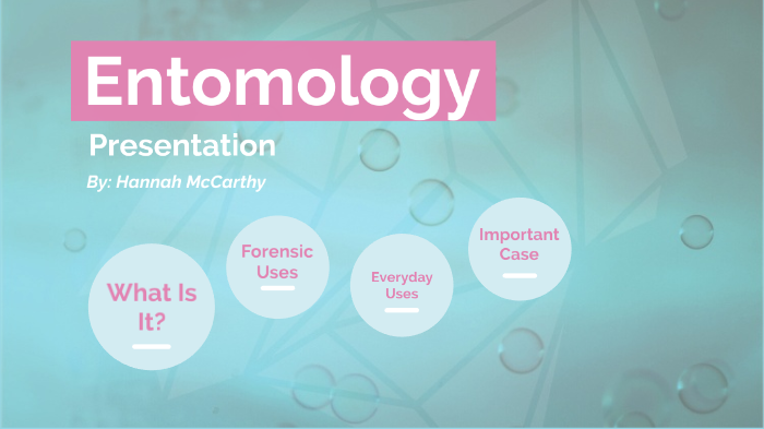 Entomology Presentation by Hannah McCarthy on Prezi