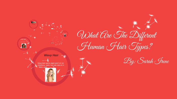 What Are The Different Human Hair Types by Sarah Thompson on Prezi