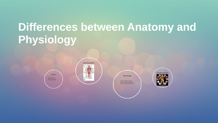differences-between-anatomy-and-physiology-by-john-lauffenburger