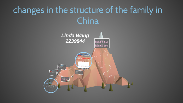 changes in the structure of the family in China by RuiNing Wang