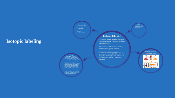 Isotopes labeling by Moritz Heyl