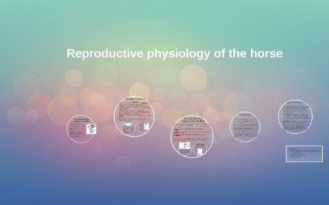 Reproductive physiology of the horse by Zenzi Reed on Prezi