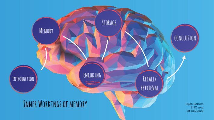 Inner Workings of the Brain by Elijah Barreto on Prezi