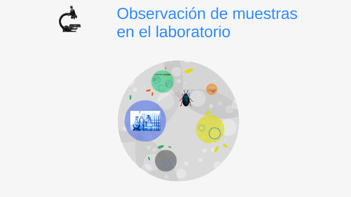 Observación de muestras en el laboratorio by Tita Labaén on Prezi