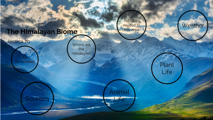 Himalayan Biome Project final draft by Jessica R on Prezi