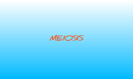 Meiosis by Kate Blackledge on Prezi