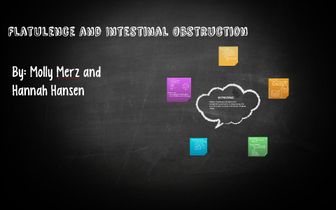 Molly Merz and hannah hansen by hannah hansen on Prezi