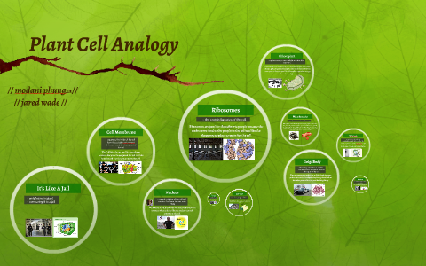 Plant Cell Analogy by Modani Phung on Prezi