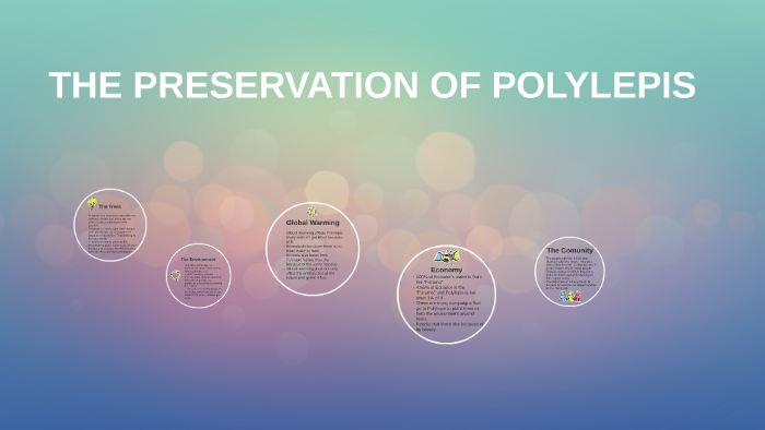 POLYLEPIS by Barbara Riofrio on Prezi