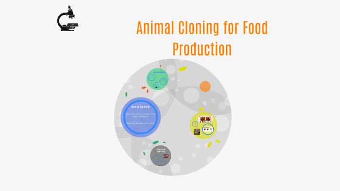 Animal Cloning for Food Production by lauren balcerak on Prezi