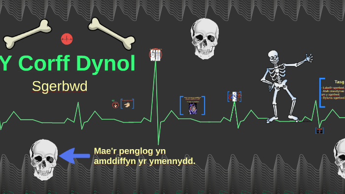 Y Corff Dynol - y sgerbwd by Catrin Beech on Prezi