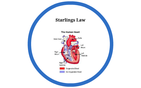 Starlings Law by leah edwards on Prezi