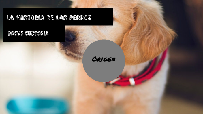 la historia de los perros by luana tapia on Prezi