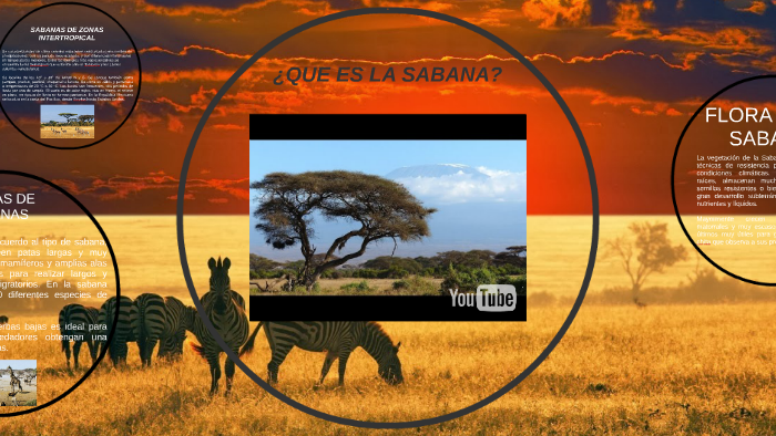 BIOMAS DE SABANA by Carlos Eduardo Carrillo Pacheco on Prezi
