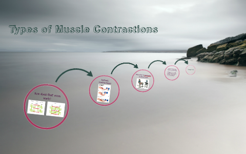 Types of Muscle Contractions by Geoff Starling