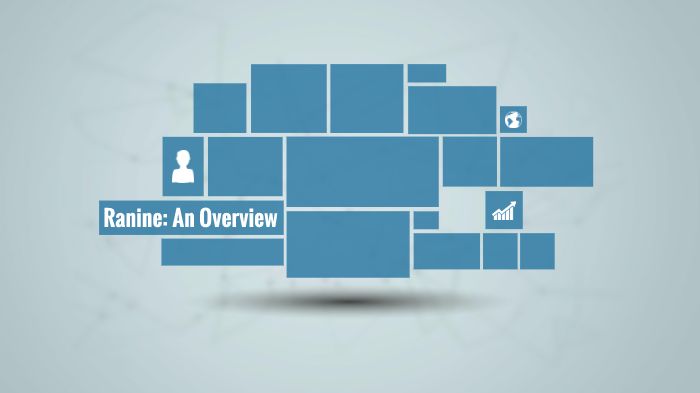 Ranine: An Overview by Ranine Shehadeh on Prezi