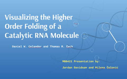 Visualizing the Higher Order Folding of a Catalytic RNA Mole by Kelly ...
