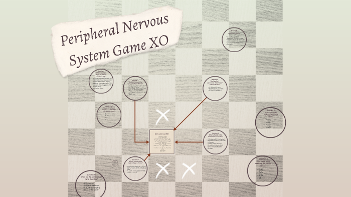 Peripheral Nervous System Game XO by Madi wright