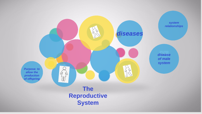 Human Reproductive System by Deborah Saxton on Prezi