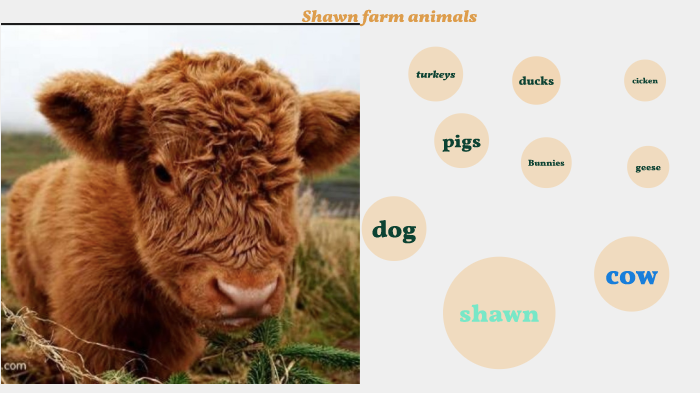 Shawn farm animals by shawn hollis on Prezi