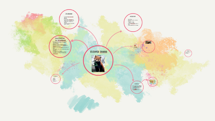 Kleiner Panda by Arima Uw on Prezi