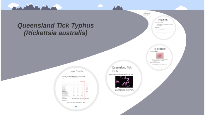 Queensland Tick Typhus by Shay Darcey on Prezi