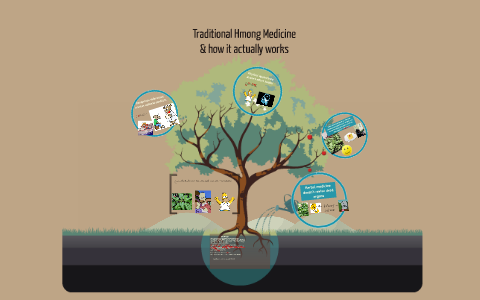 Traditional Hmong Medicine & how by Phill Thao on Prezi