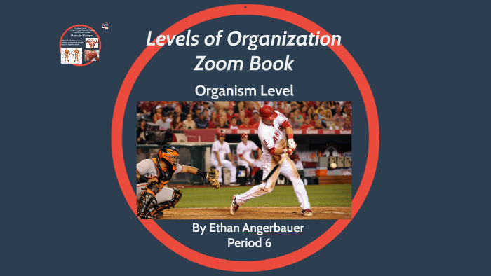 Levels of Organization by Ethan Angerbauer on Prezi