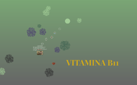 VITAMINA B11 by Brayan Muñoz on Prezi