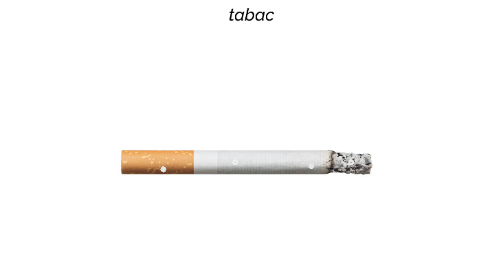 cycle de vie du tabac by rebeka morin on Prezi