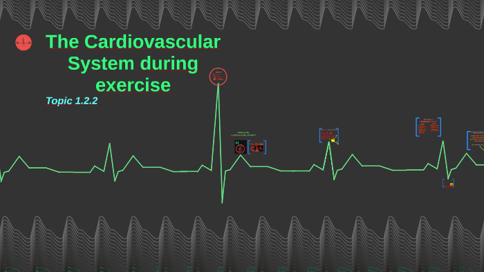 The Cardiovascular System during exercise by Aaron Hudson