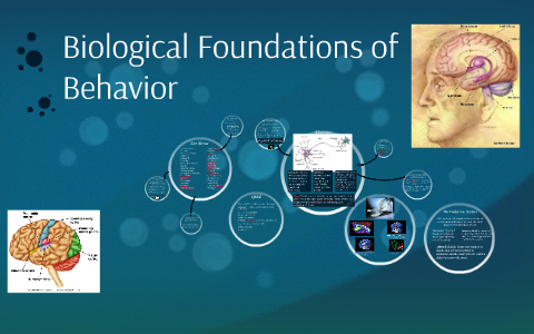 Biological Foundations of Psychology by on Prezi