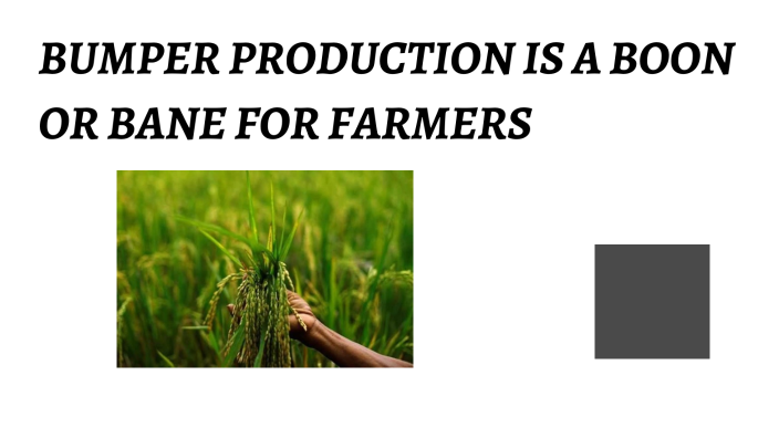 bumper production is a boon or bane for farmers by Yogalingam deputy on ...