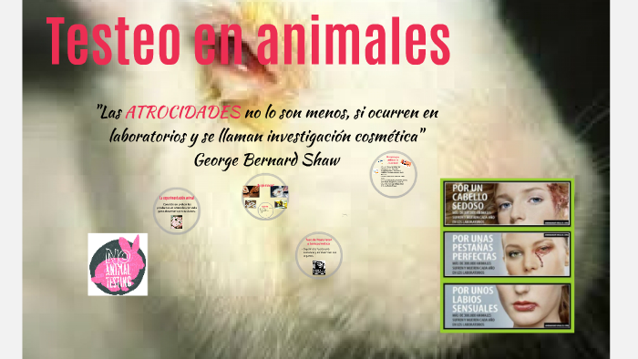 testeo en animales by andrea fortin on Prezi