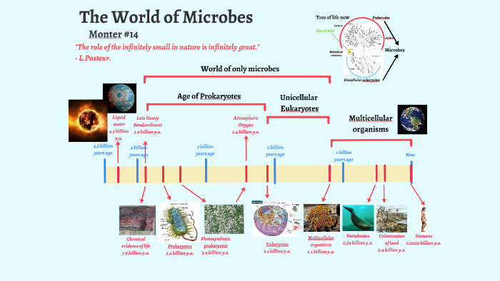 SciFest_poster_english by on Prezi