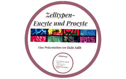 Zelltypen- Eucyte und Procyte by hejin salih on Prezi