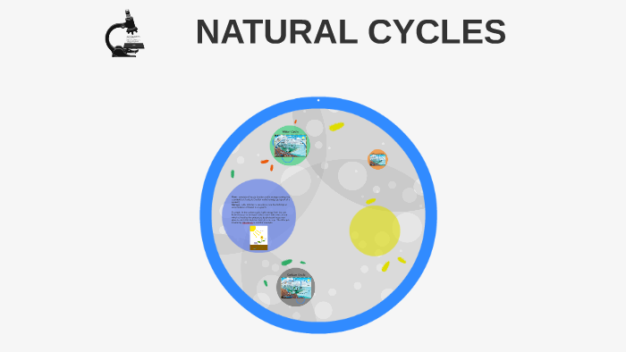 NATURAL CYCLES by Dan Winkler on Prezi