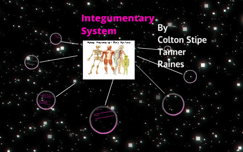 Bcms mulligan science by Colton Stipe on Prezi