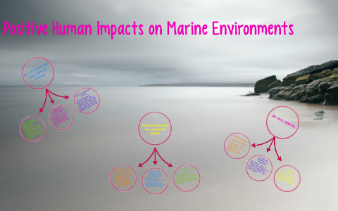 Positive Human Impacts on Marine Environments by Josie Cornella on Prezi