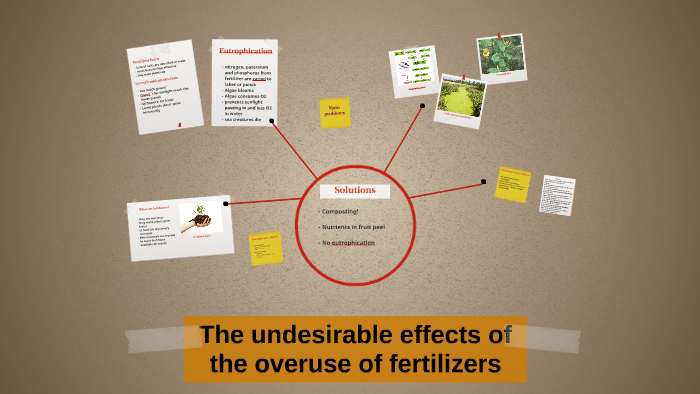 The undesirable effects of the overuse of fertilizers by Camila Mendoza ...