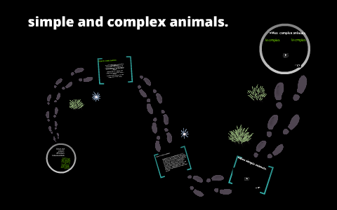 simple and complex animals by gilmar zambrano lozano on Prezi